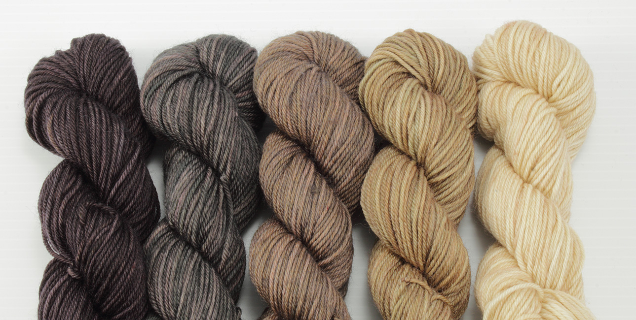 Featured Artist June 2026 « PRO Chemical and Dye